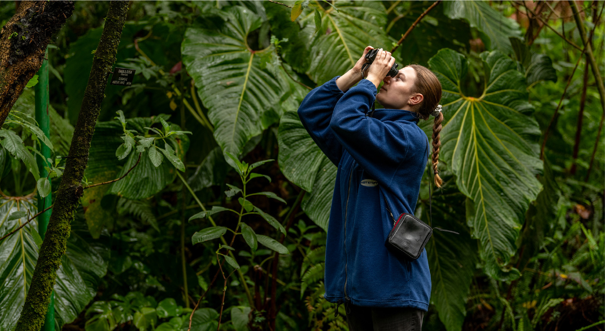 Home - Jardin Botánico de Quito
